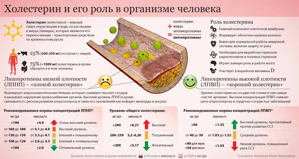 Холестерин не может быть вредным | Библиотека | Центр тибетской ...